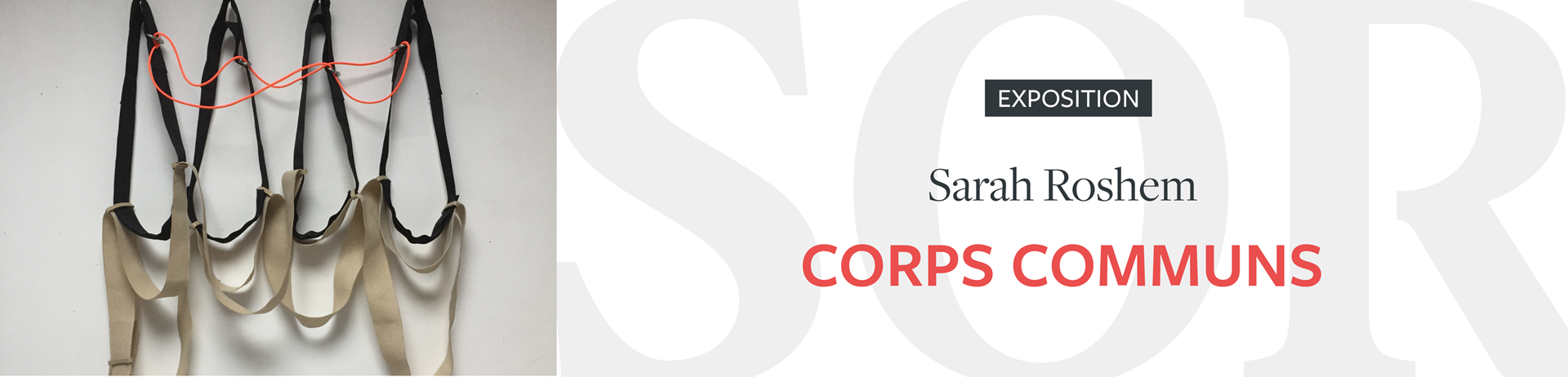 Corps communs de Sarah Roshem | Université Paris 1 Panthéon-Sorbonne